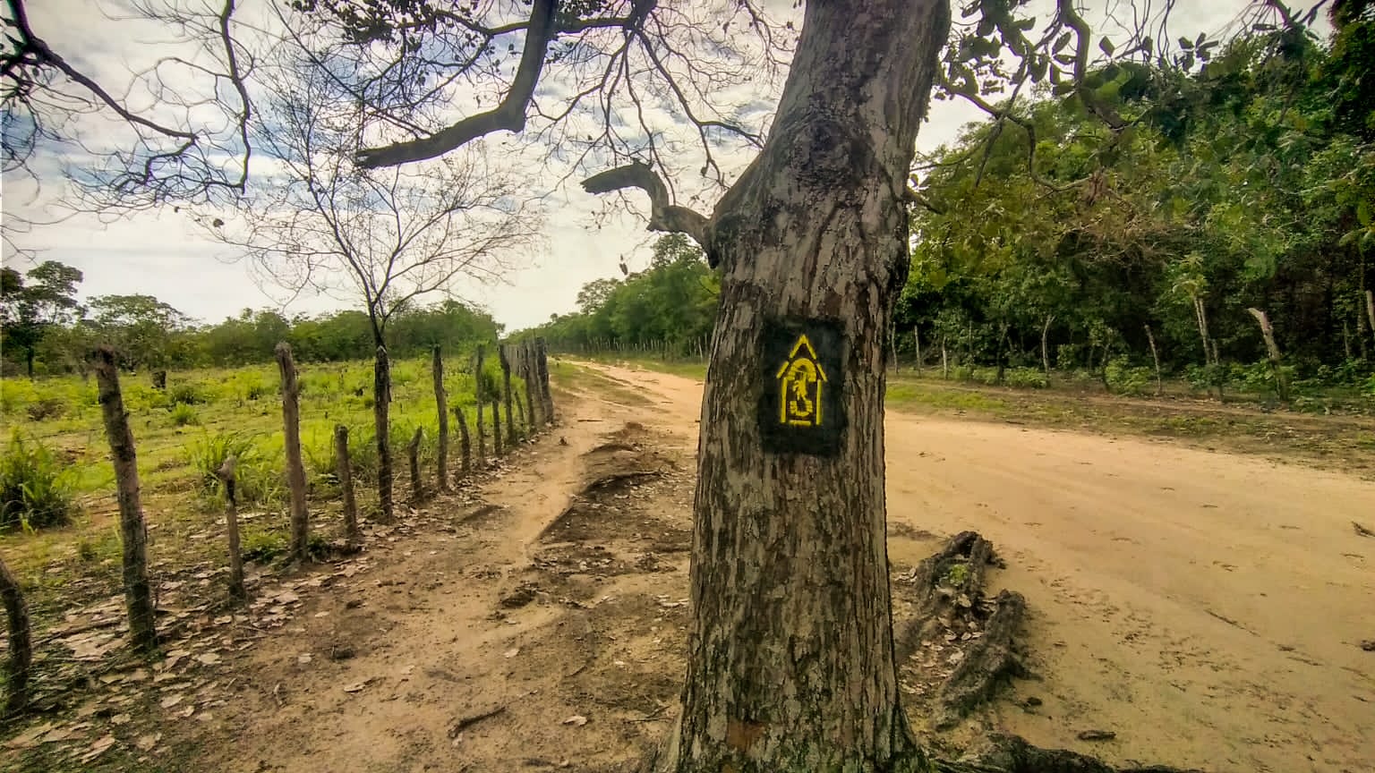 Entre Caatinga, Cerrado e Mata Atlântica nascem os Caminhos da Ibiapaba ...