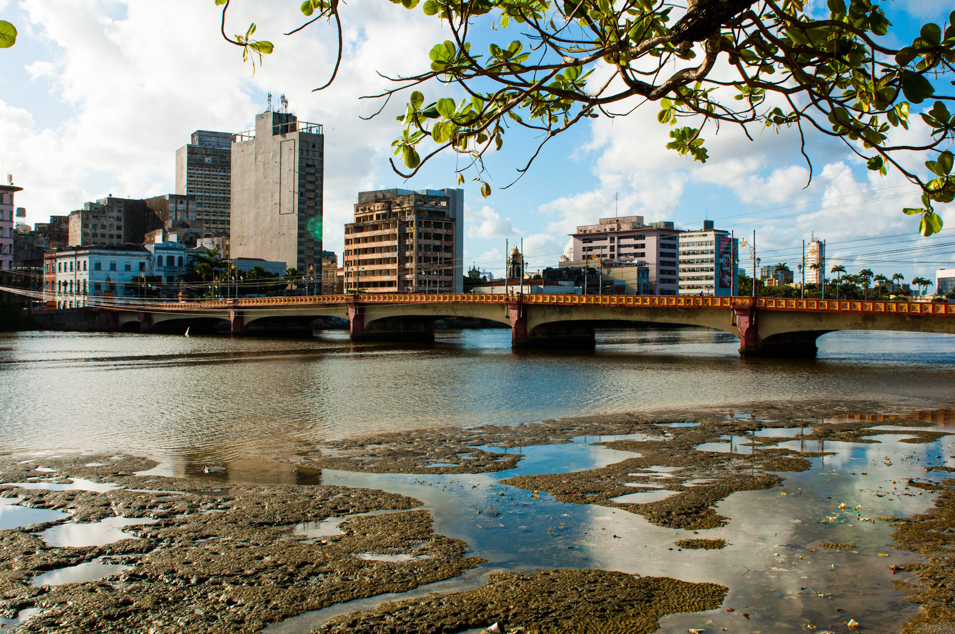 Maria Tereza Jorge Pádua, a mulher que criou 8 milhões de hectares em ...